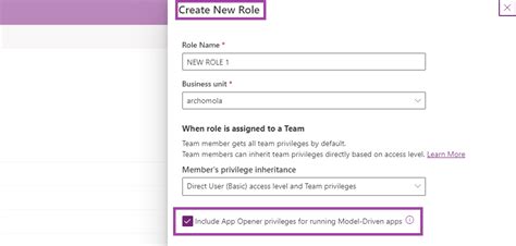 Creating A Security Role With The Option Include App Opener Privileges