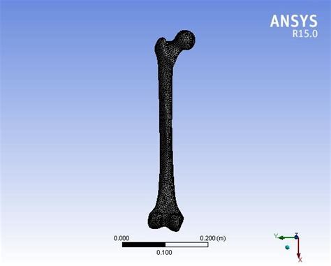 Finite Element Mesh Of Femur Model Fig5 Applied Load And Boundary Download Scientific Diagram