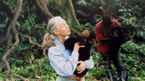 Heres How Jane Goodalls Deep Christian Faith Sustained Her Until