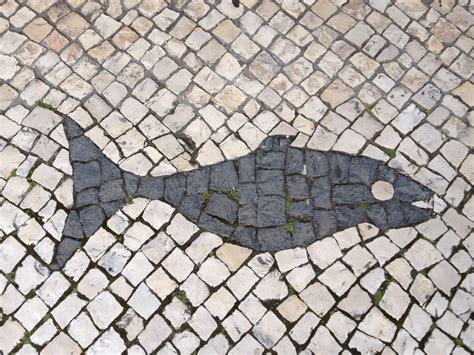 무료 이미지 보도 바닥 조약돌 벽 아스팔트 흙 타일 돌담 물고기 미술 그물 모자이크 노면 3264x2448 997879 무료 이미지