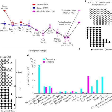 Single Cell Dna Methylome Sequencing Of Human Preimplantation Embryos