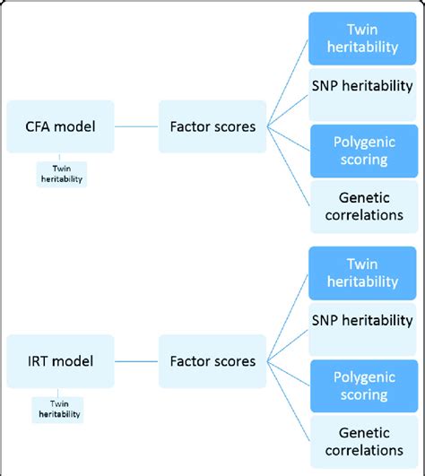 Workflow Diagram Of Current Analyses Download Scientific Diagram