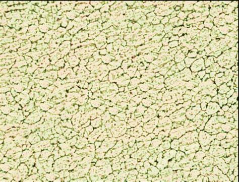 Al Mg Zn1 Wt Nano Sic Sample 1 Download Scientific Diagram