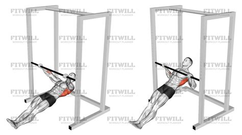 Inverted Wide Row Guide Techniques Benefits How To Muscles Worked Tips And Tricks Fitwill