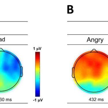 The Scalp Topographic Maps Of A MMN And B P A To Angry Happy And Download Scientific