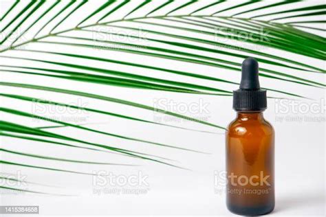 야자수 잎 모형과 흰색 배경에 에센셜 오일 피펫이 있는 갈색 유리 병에 화장품 의료 미용 제품 갈색에 대한 스톡 사진 및 기타 이미지 Istock