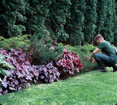 Professional Lawn Care Company In Location Id Gator Grass Maintenance