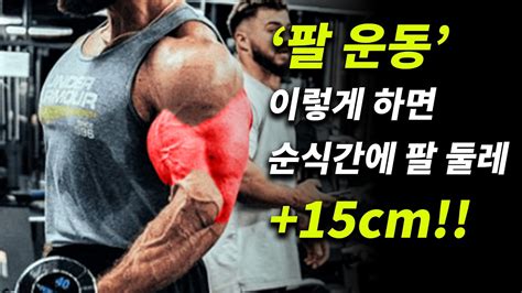 팔 사이즈 순식간에 2배 만드는 팔 운동 루틴 삼두 운동 꿀팁 팔 두꺼워지는 방법 Youtube