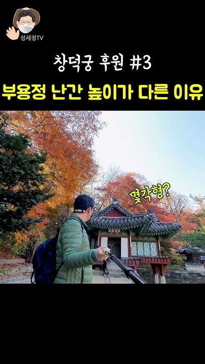 창덕궁 후원에서 가장 아름다운 부용지 부용정 Shorts 두 발만 물에 담근 정자 부용정 난간의 높낮이가 다른 이유 창덕궁 후원 3 Youtube