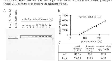 Figure 1 From Protein Level Quantification Across Fluorescence Based Platforms Semantic Scholar