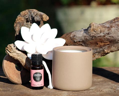 Edens Garden Ceramic Bloom Diffuser Review Sweet Honeybee Health