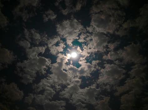 Night 22 Photos And Videos Collected By Dipayan Mukherjee