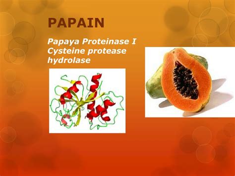 Ppt What Actually Is Bromelain Powerpoint Presentation Free