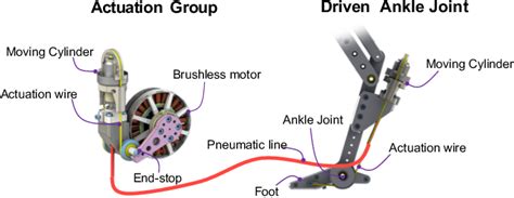 Diaphragm Ankle Actuation For Efficient Series Elastic Legged Robot Hopping