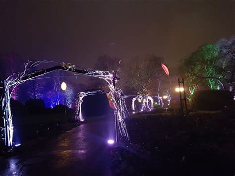 Passage Lights Colorful Trees Free Photo On Pixabay Pixabay