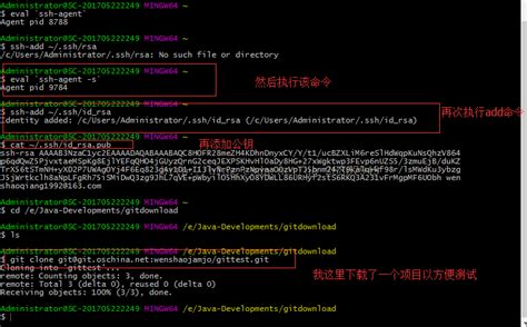 Windows下配置git报错：could Not Open A Connection To Your Authentication