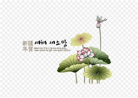 矢量手绘莲花PNG图片素材下载 图片编号10333851 PNG素材网