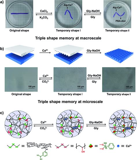 Triple Shape Memory Effects A Triple Shape Memory At The Download Scientific Diagram