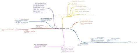 Digestive System Peritioneum And Mesenteries Mesocolon Connected To…