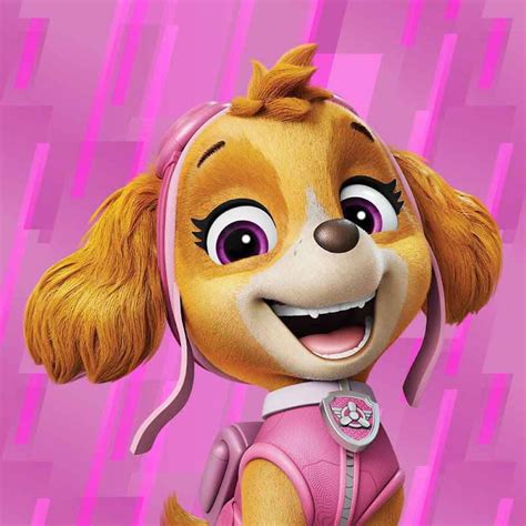 Skye Paw Patrol By Zoya Kamran69 On Deviantart