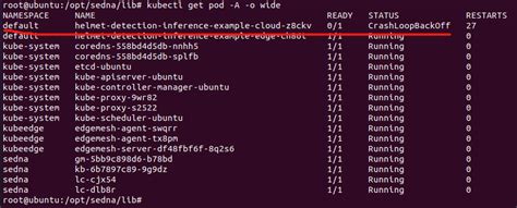 Bug From Image Sedna Example Joint Inference Helmet Detection Bigv04