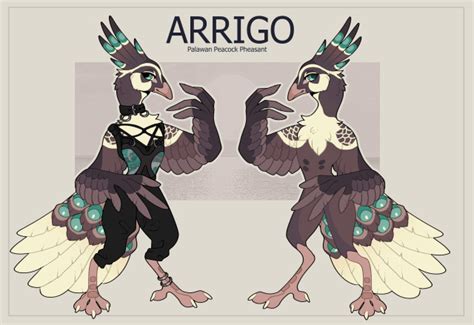 Anthro Birds On Tumblr