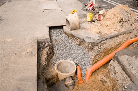 How To Detect And Prevent Tree Roots In Your Sewer Line Hedlund Plumbing