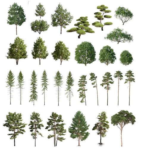 Shaker Trees Asset Pack Of Trees Compatible With Engon Blender Market