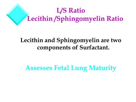 Ppt Fetal Assessment Powerpoint Presentation Id6904412