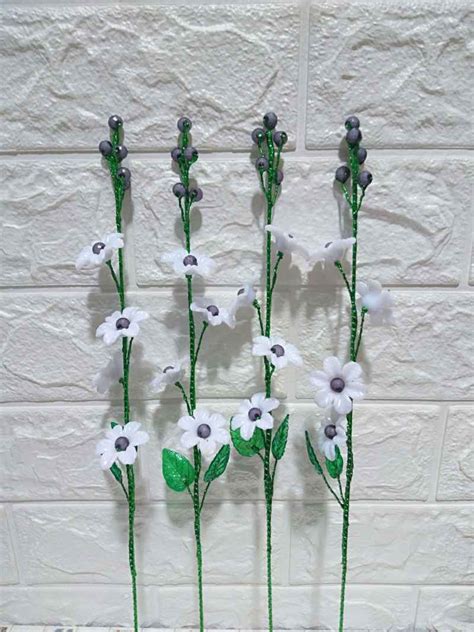 ️ Harga Bunga Aster Putih Portalkita