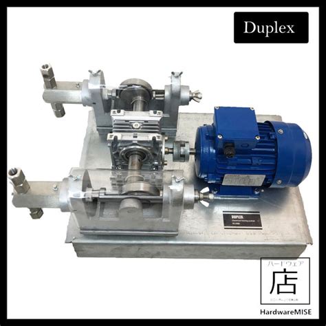 Chemical Dosing Pump Metering Pumps Chemitron Duplex Acid Dosing System Vs2560 Malaysia Supplier
