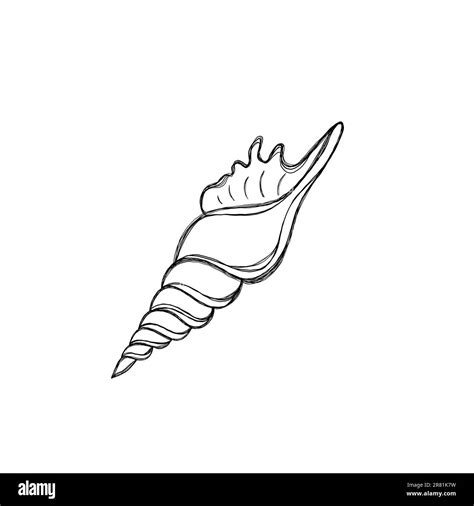 Conch Shell Drawing Tattoo