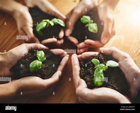 Nature Sustainability And Earth Soil Growth Showing Teamwork Green