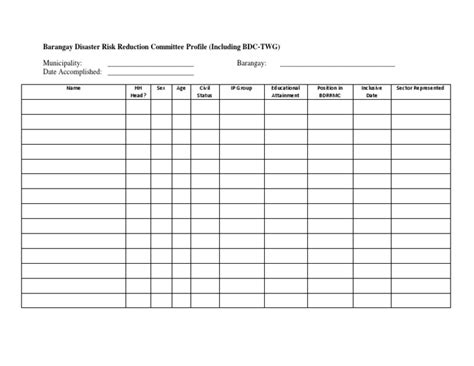Annex B Bdrrmc Profile Pdf