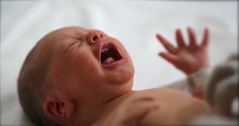 Newborn Infant Expressing First Cries Birth Stock Footage Sbv 348432550