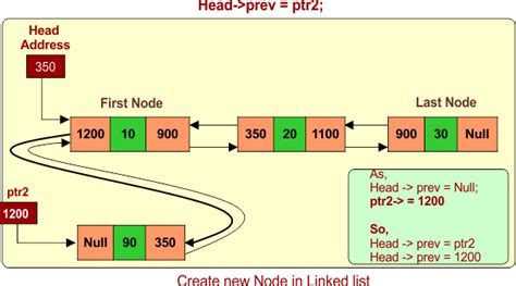 Insertion In Doubly Linked List In C Cs Taleem