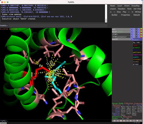 Pymol For Visualizing Polar Contacts Between Residue Of Interest And