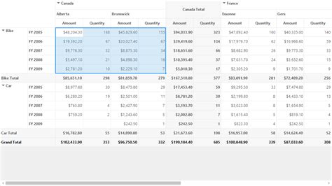 cell selection in windows forms pivot grid control syncfusion®