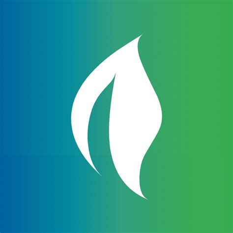 Ibm Integration Bus Español