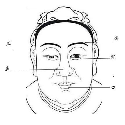 人的五官是哪五官 酷知科普