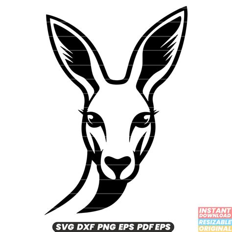 Kangaroo SVG Kangaroo DXF Kangaroo PNG Digital Designs Instant Download Etsy