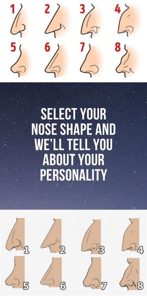 Types Of Nose Shape And Personality At Edward Criss Blog