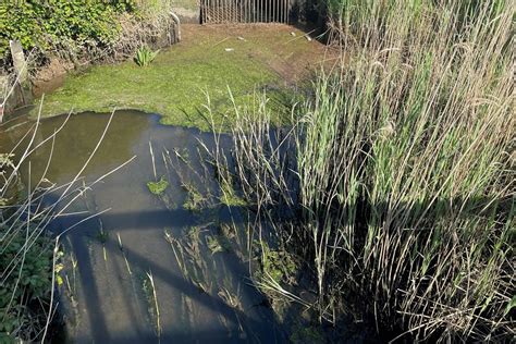 Government Pumps £47m Into Nutrient Mitigation Fund