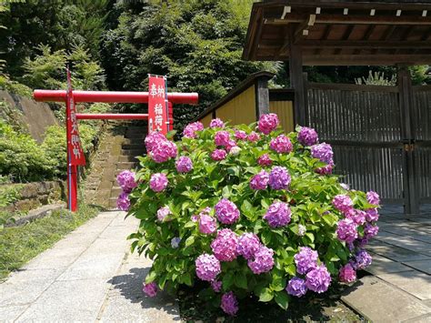 2025建长寺游玩攻略 镰仓北站下步行10分钟差 去哪儿攻略