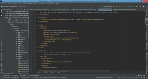 Run Camunda Engine In Development Mode Discussion And Questions