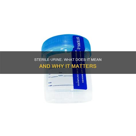 Sterile Urine What Does It Mean And Why It Matters Medshun