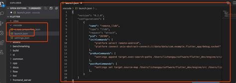 Flutter Engine C 源码调试初探 区长