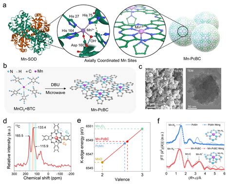 Innovating Efficient Artificial Antioxidases For Stem Cell Therapy