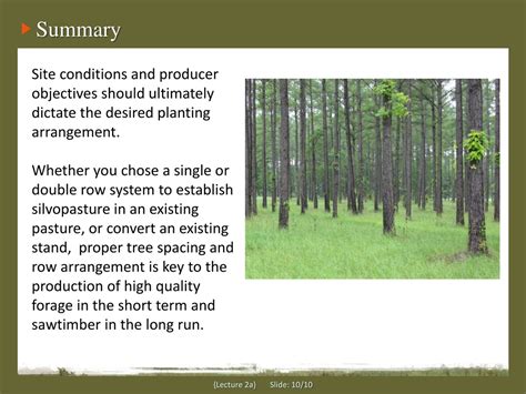PPT Module Tree Spacing And Row Arrangement PowerPoint Presentation ID