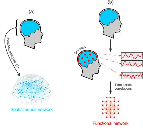 Figure 1 From Spatial Neural Networks And Their Functional Samples Similarities And Differences